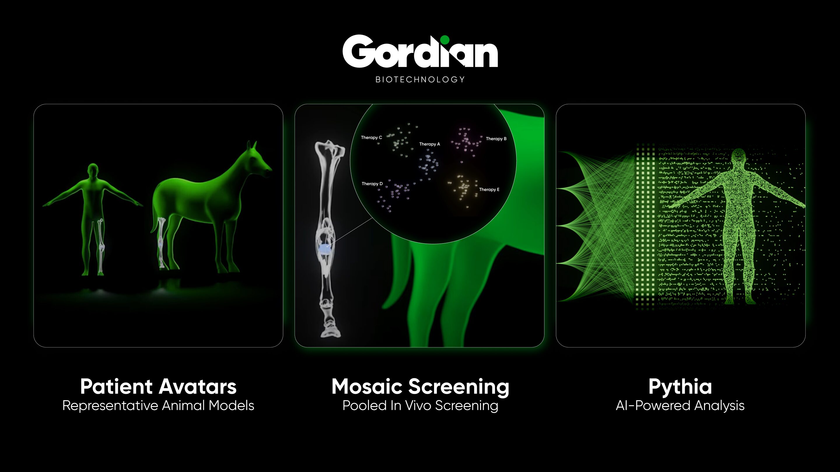 Gordian Biotechnology Introduces High-Throughput In Vivo Screening ...