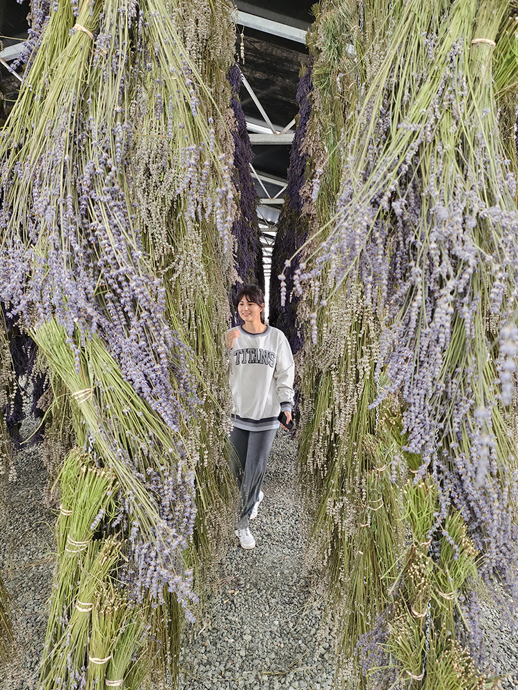 Culture - Gordian Biotechnology